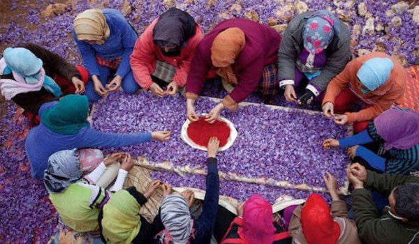 Iranian Saffron | All you need to know about Iran Saffron | Prices & Types